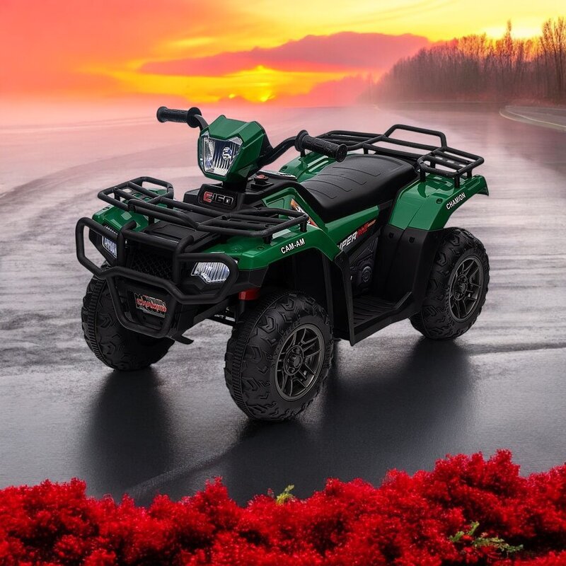 ATV electric copii, Baby Mix, Quad, Pana la 30 kg, Cu 3 viteze, Cu ...