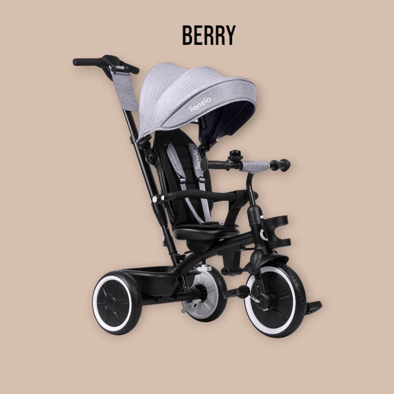 Tricicleta copii, Lionelo, Berry, 2 in 1, Multifunctionala, Suport ...
